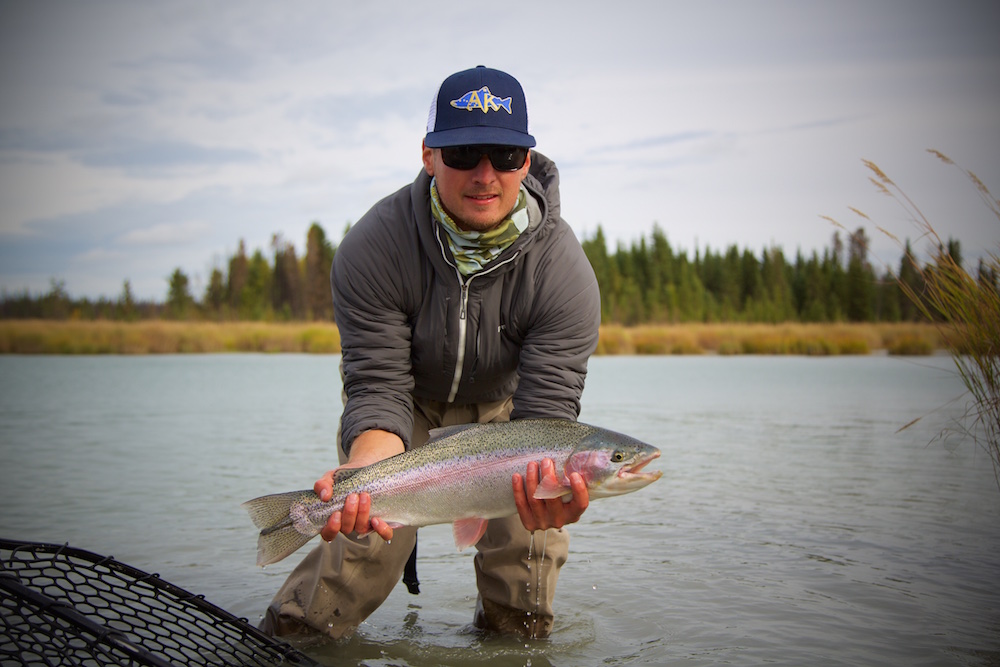 Serious Question: What Kind Of Fish Are You? - The Wade