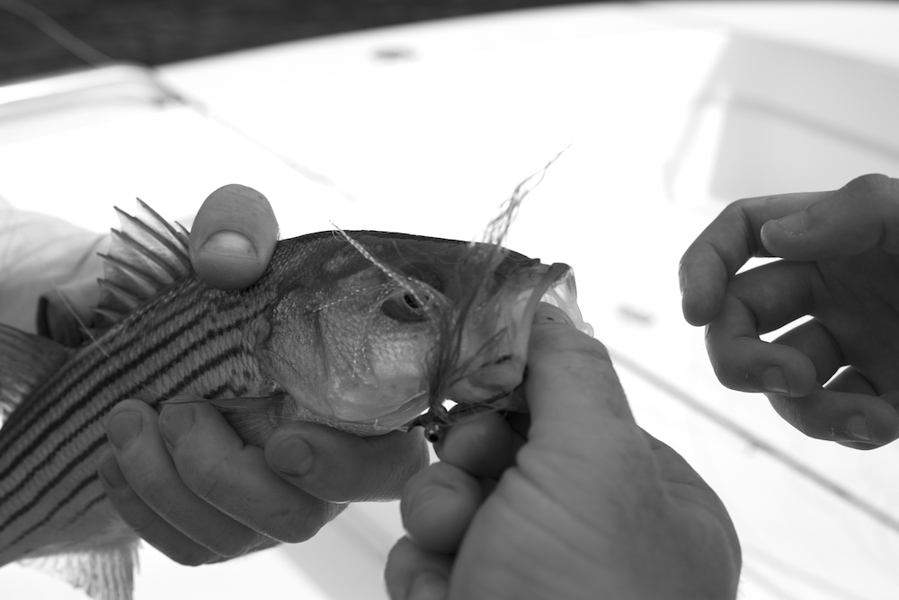 The 5 Saltwater Flies You Should Carry At All Times - The Wade