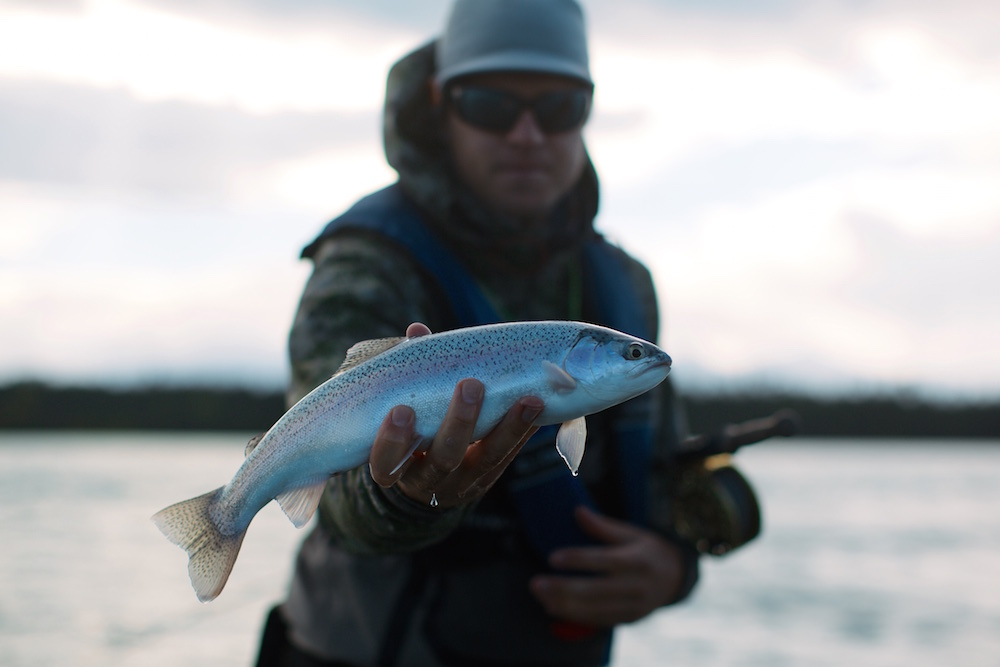 How To Properly Hold A Fish (And Why It's So Important) - The Wade