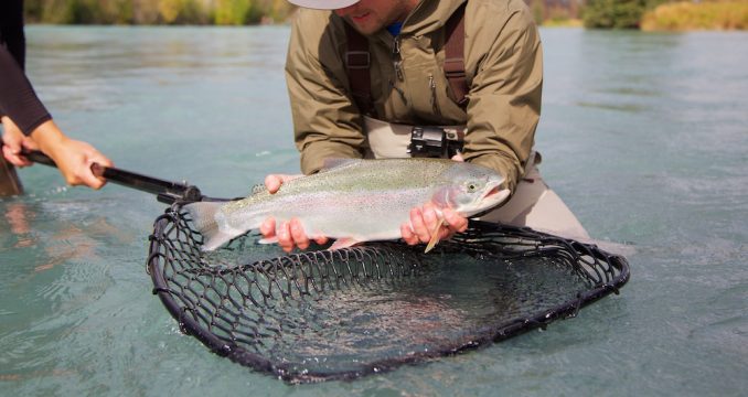 How To Properly Hold A Fish (And Why It's So Important) - The Wade