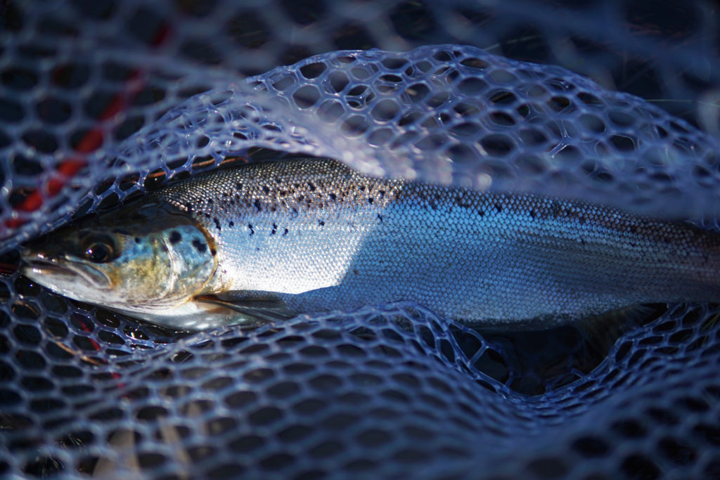 River Etiquette & Fish Karma: Why They Are So Important - The Wade