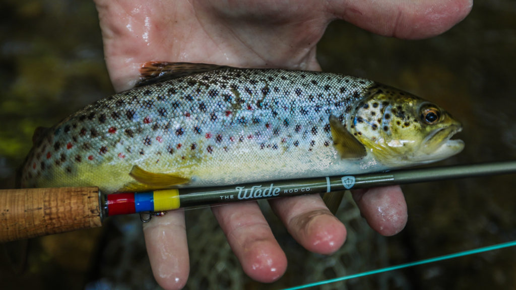 Read - The Story of Wade Rod Co - The Wade