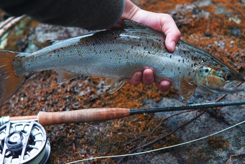 River Etiquette & Fish Karma: Why They Are So Important - The Wade
