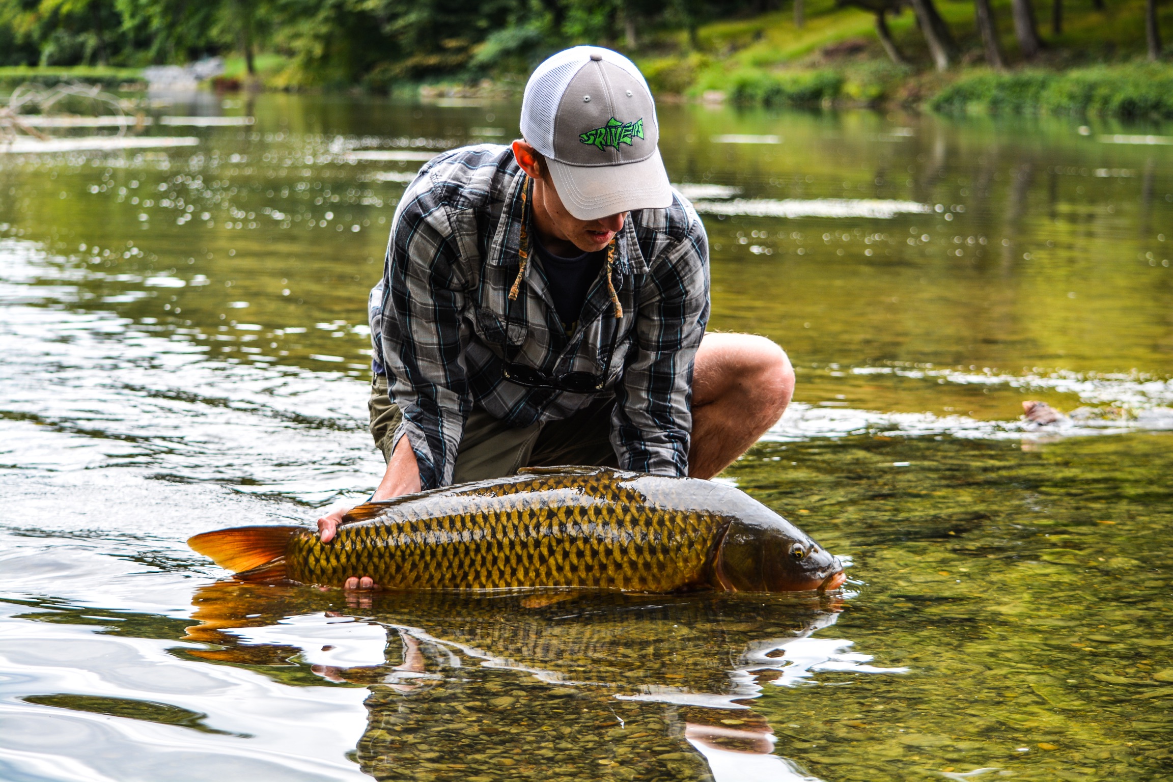 Learn - Carp Tactics: An Introduction - The Wade Blog
