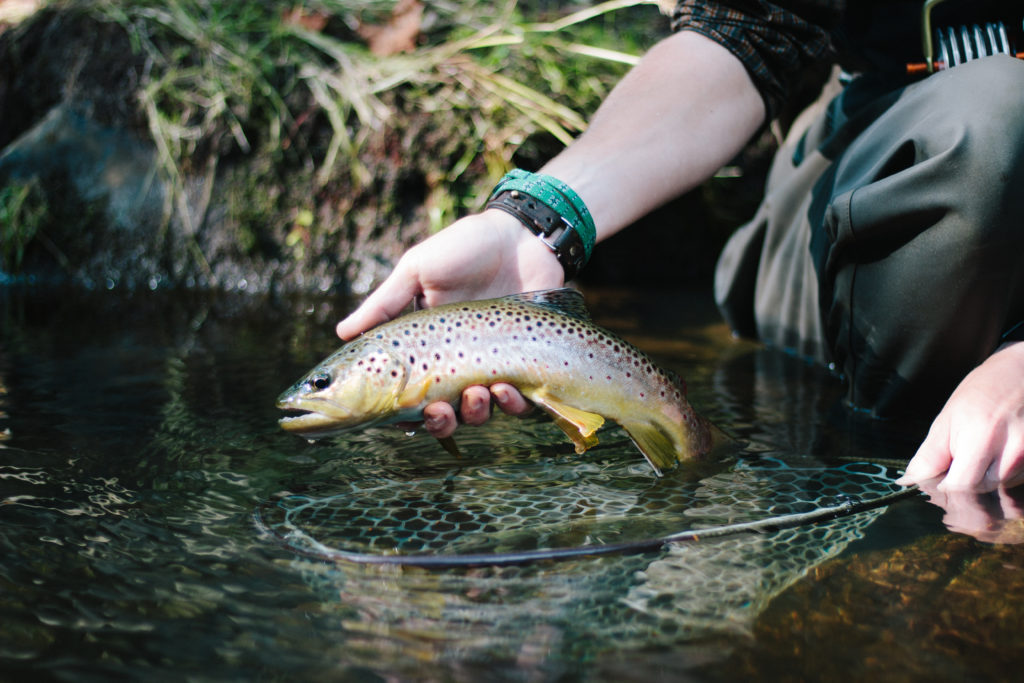 Postfly - What's In the Box: October Fly Tying - The Wade Blog