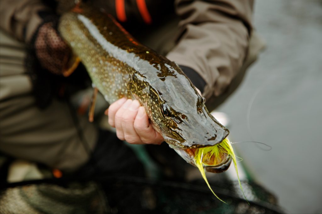 How to Breathe New Life into Wrinkled Streamers - The Wade