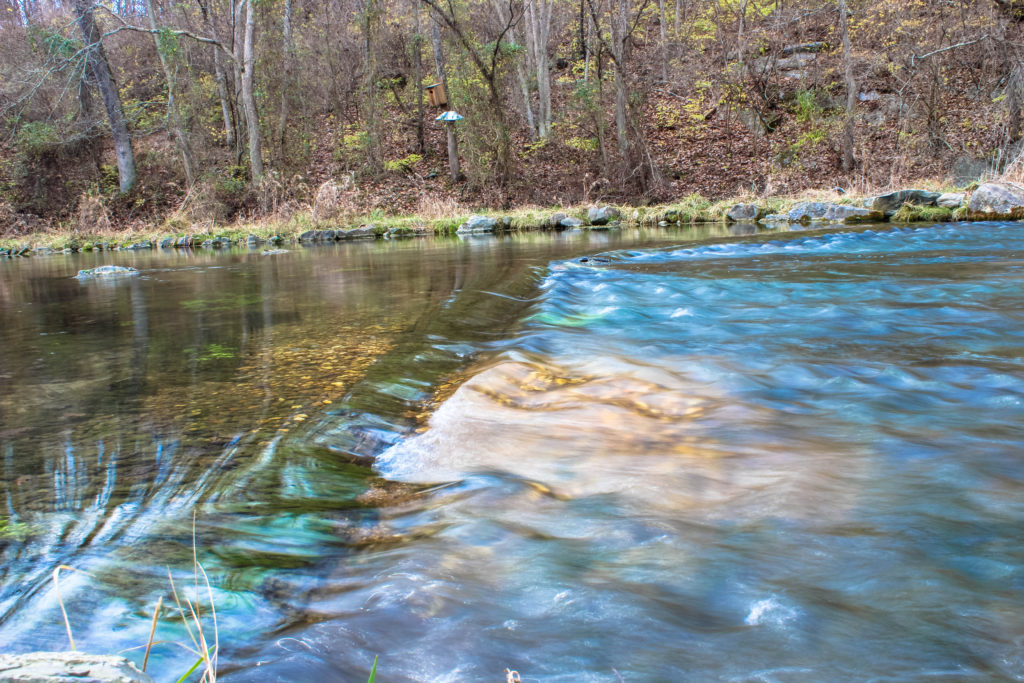 Get Tight on Spring Creeks with Cress Bugs - The Wade