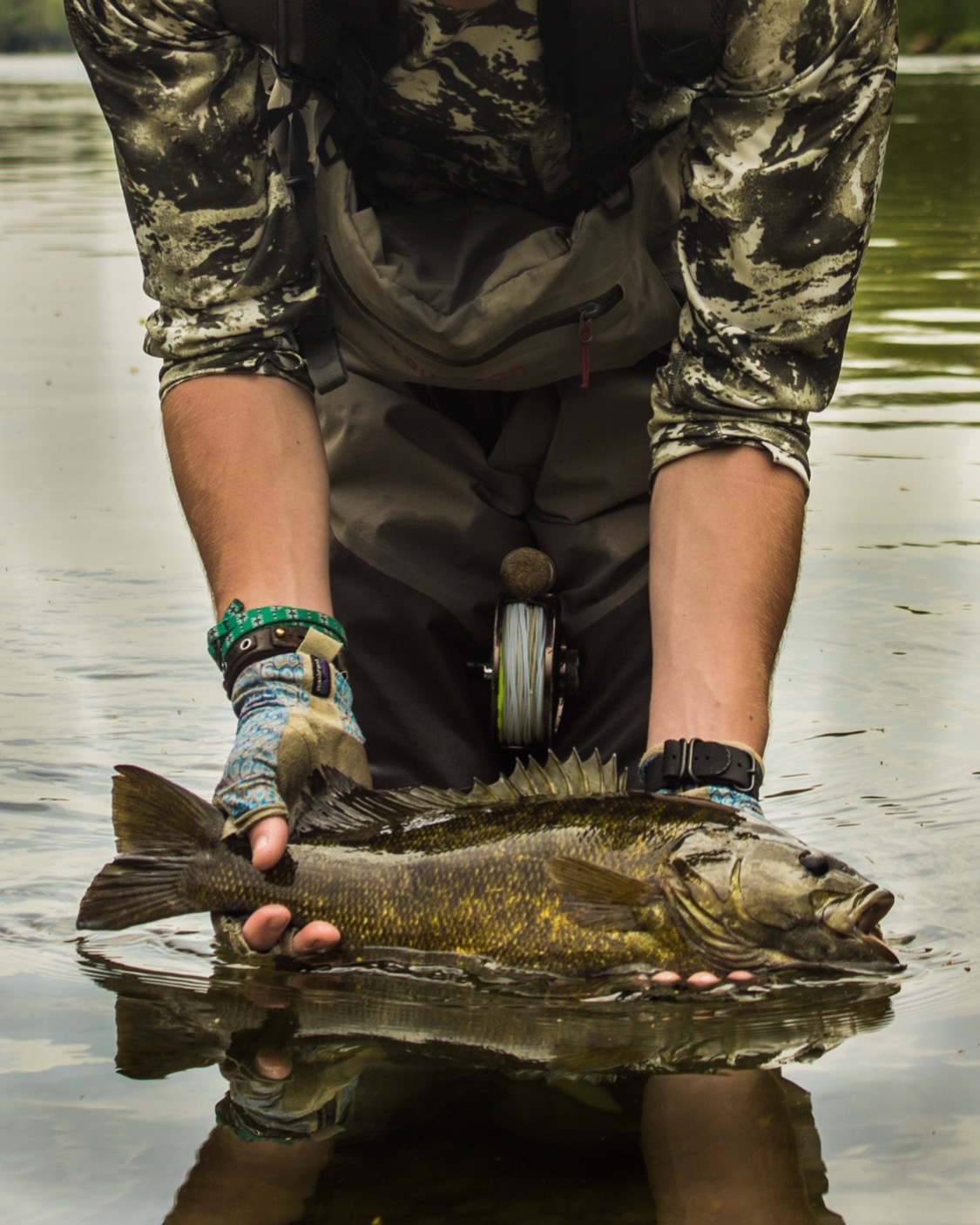 How to Find Early Spring Smallmouth - The Wade