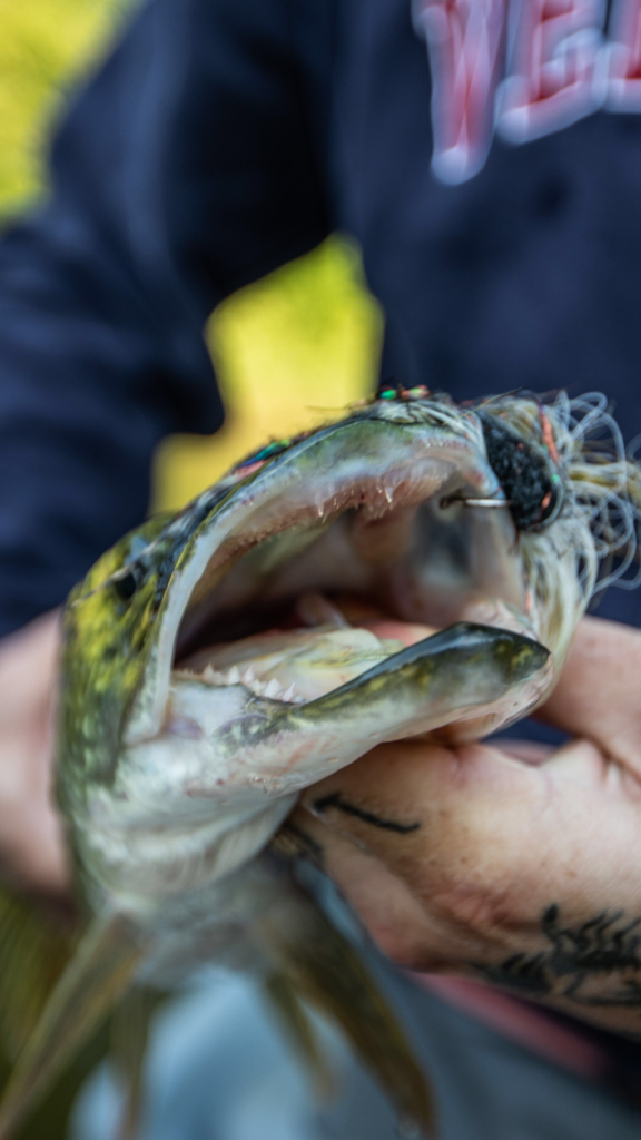 Pike Essentials with Greg Brown A.K.A. the Water Wolf - The Wade