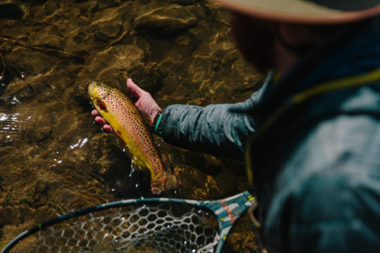 How to Fish Streamers in the Winter for Big Trout - The Wade