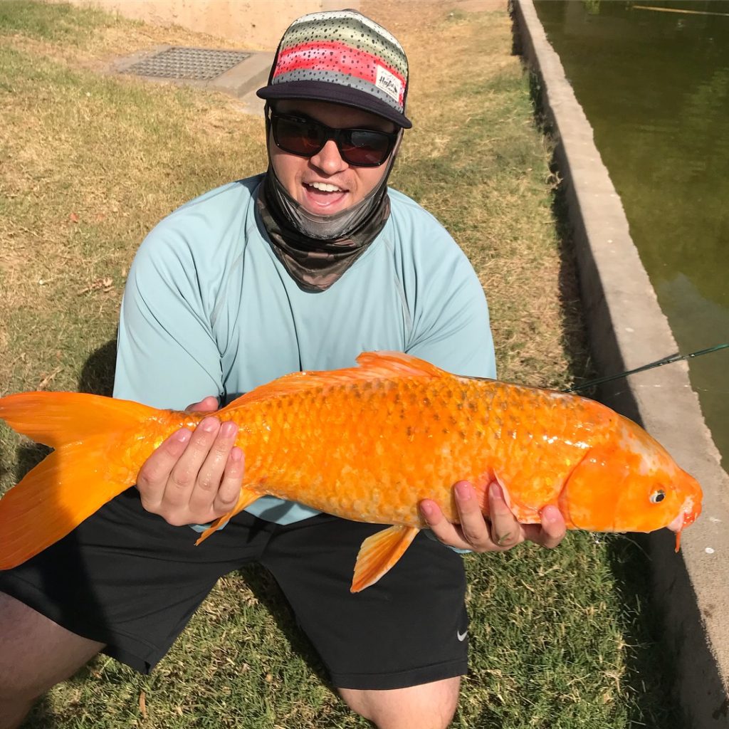Chasing Arizona Carp with Tribe Member Ryan Poquette - The Wade