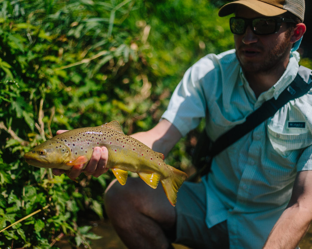 How to Catch Big Trout On Terrestrial Flies - The Wade