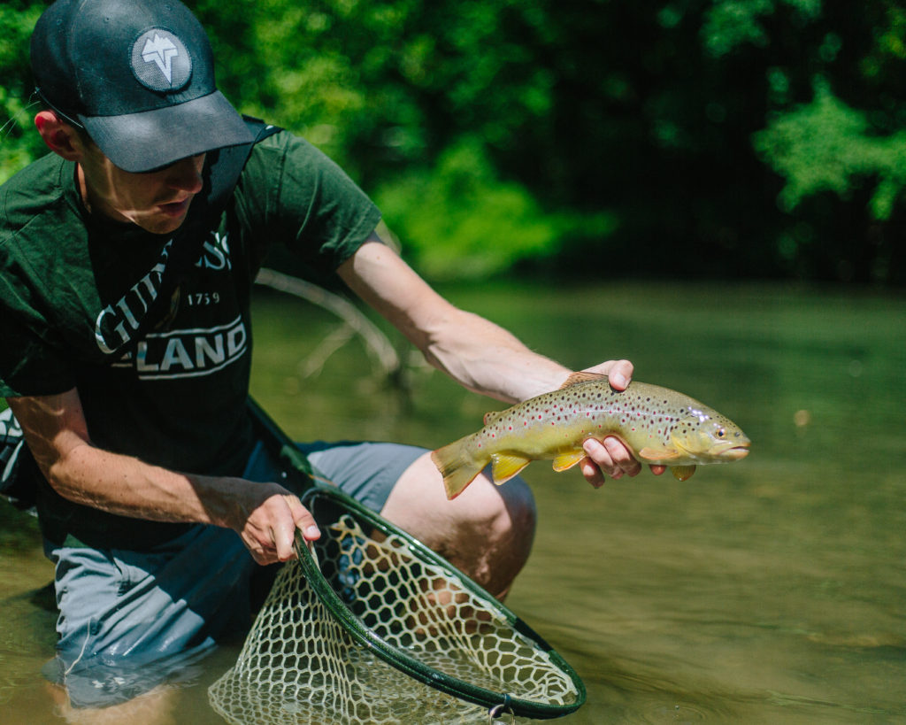 How to Catch Big Trout On Terrestrial Flies - The Wade