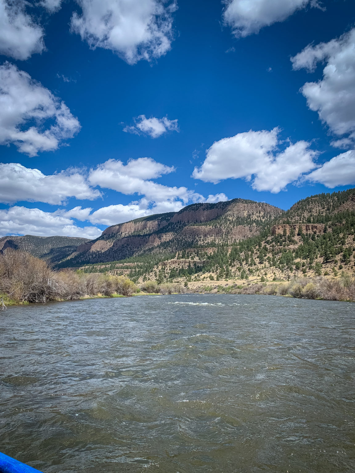 Tailwater Defined & Why You Need to Fish It - The Wade